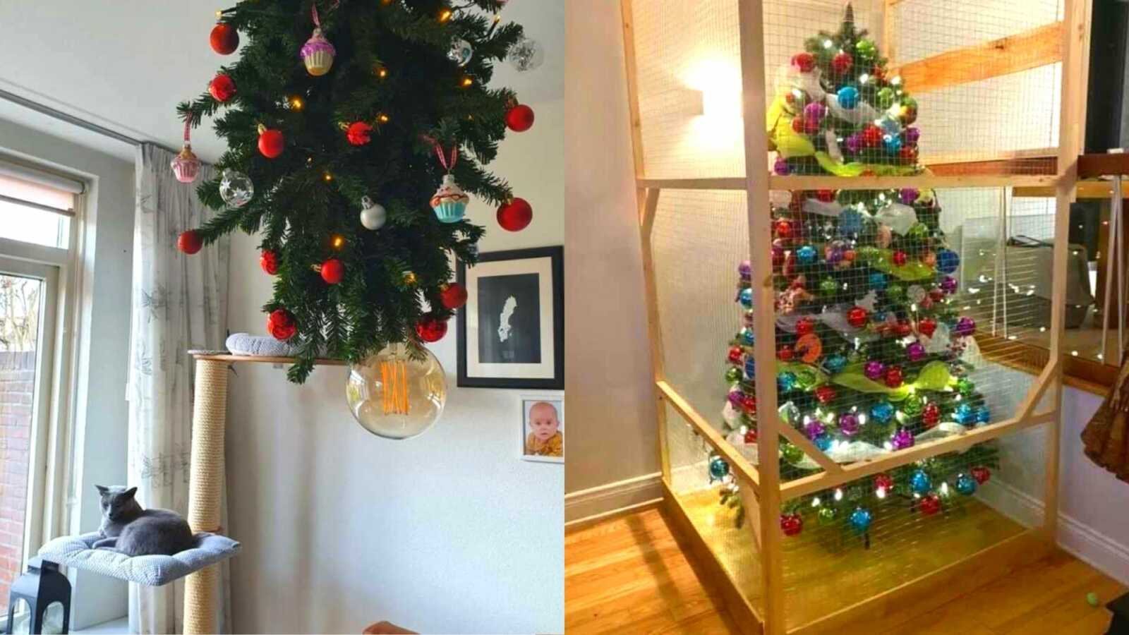 15 Hilariously Pet-Proofed Christmas Trees To Make You Smile – Love ...