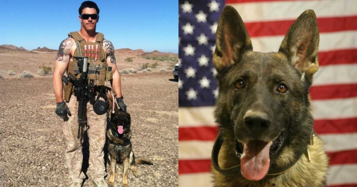 ‘We had a piece of Josh with us, his partner whom he loved.’: Grieving ...