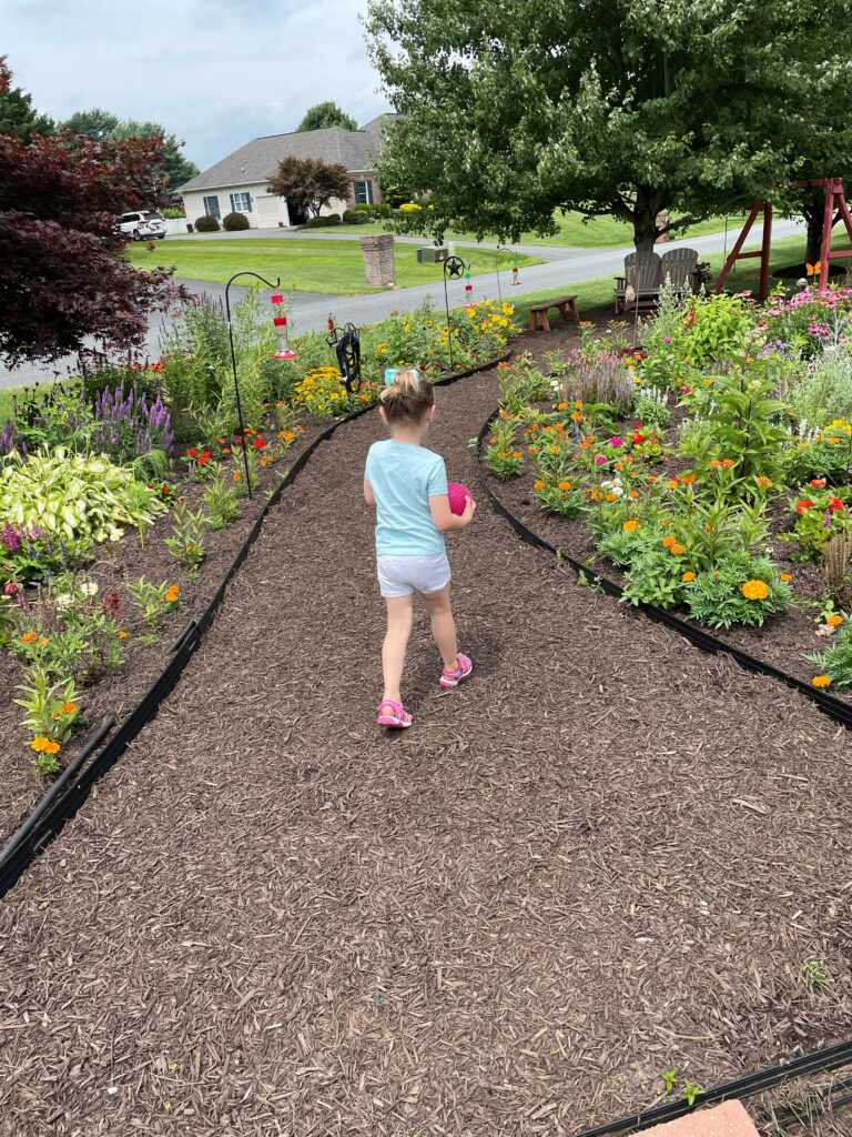 Meet ‘Butterfly Lady’ Donna Scott Thompson: The Woman Who Is ...